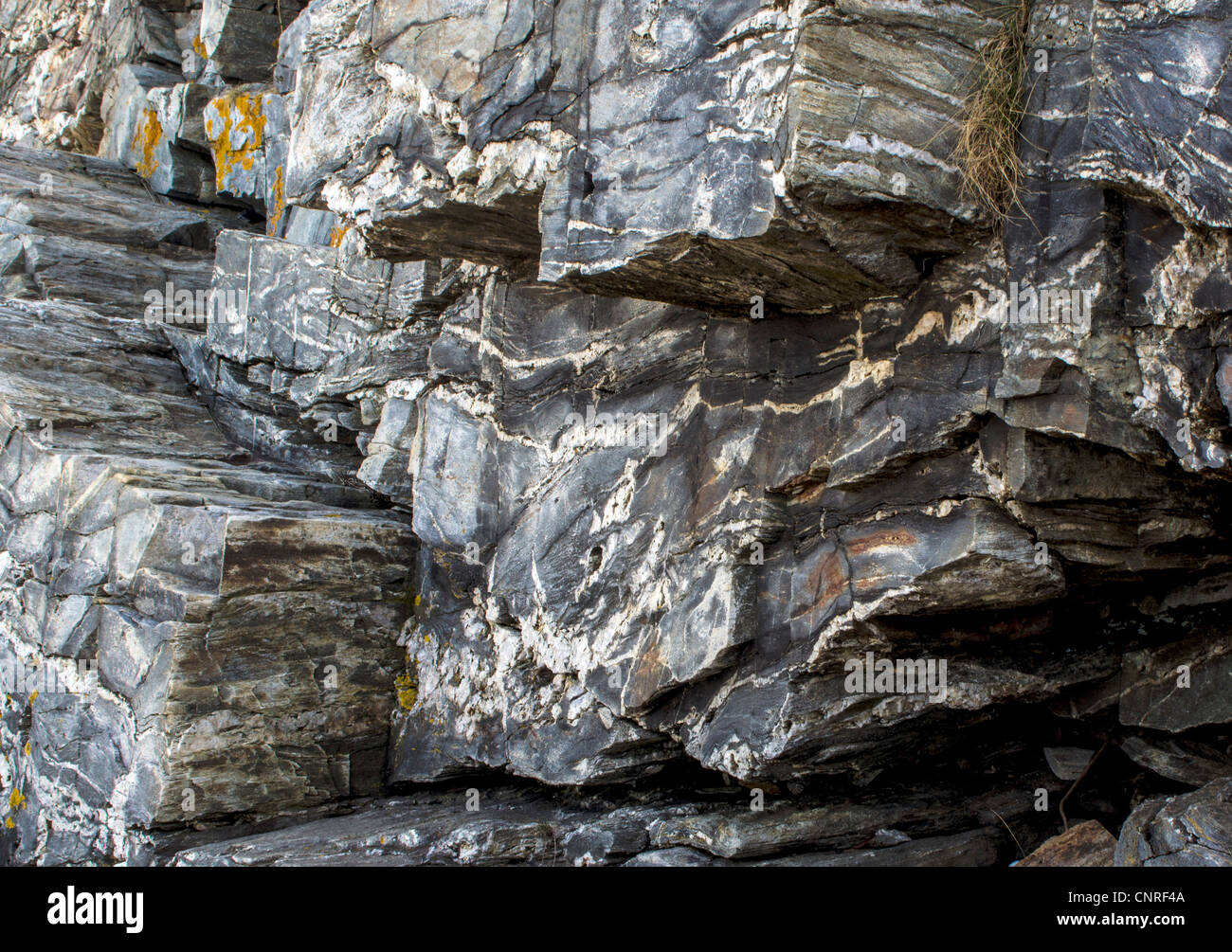 granite rock on the beach of Maine coast near in South Portland Stock ...