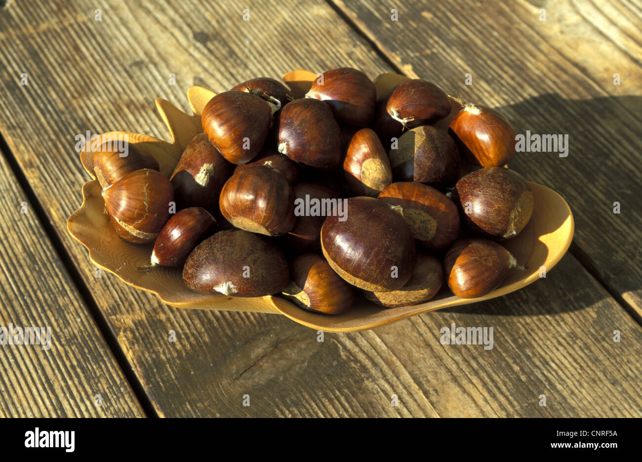 Spanish chestnut, sweet chestnut (Castanea sativa), chestnuts in a bowl ...