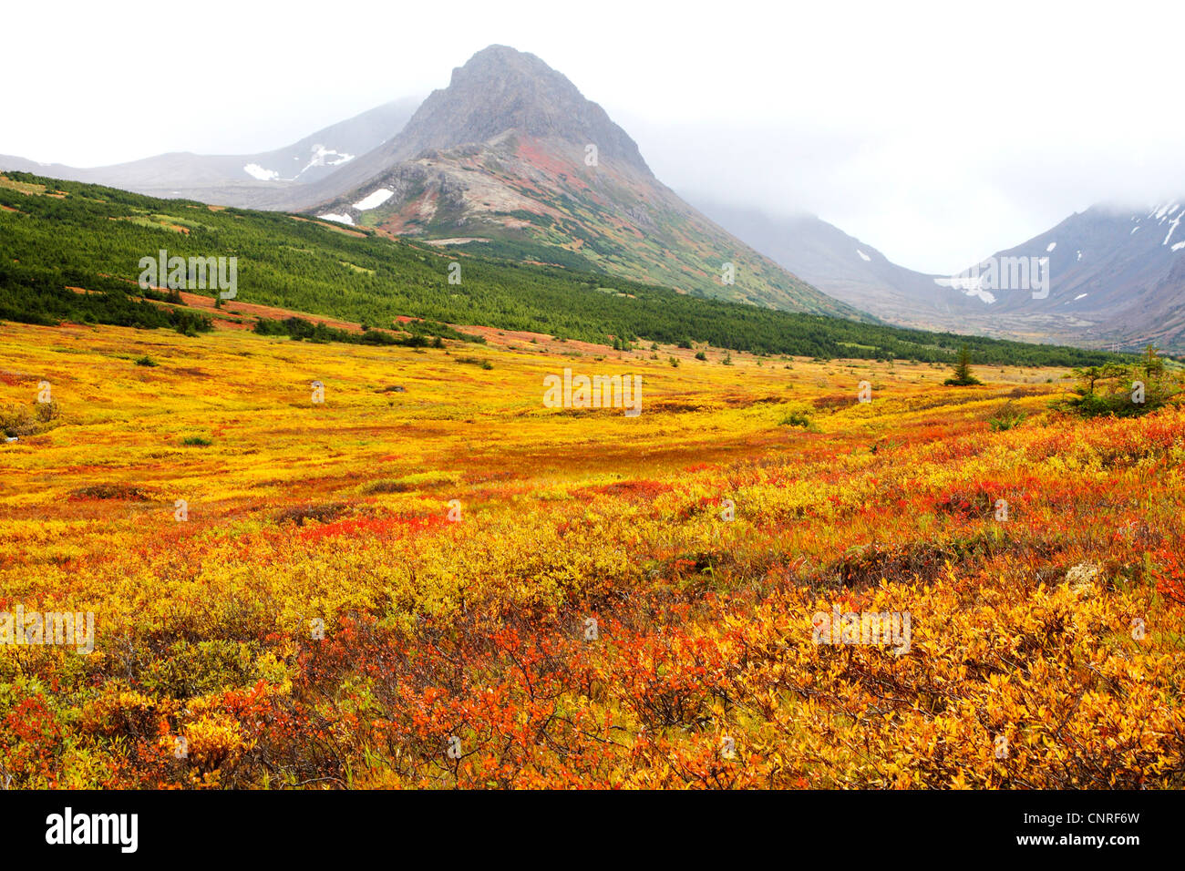 Alaska autumn landscape hi-res stock photography and images - Alamy