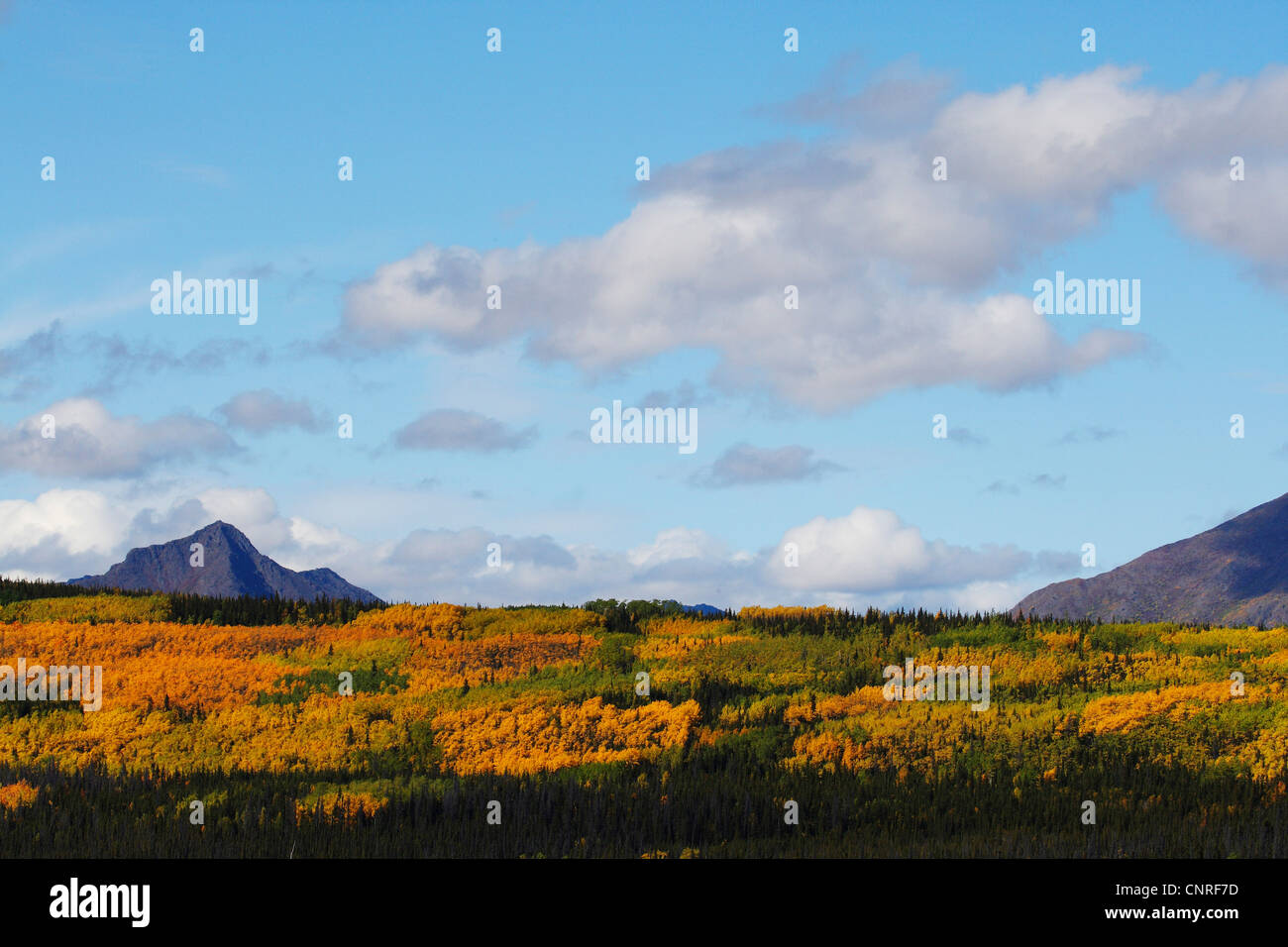 Tundra landscape alaska hi-res stock photography and images - Alamy