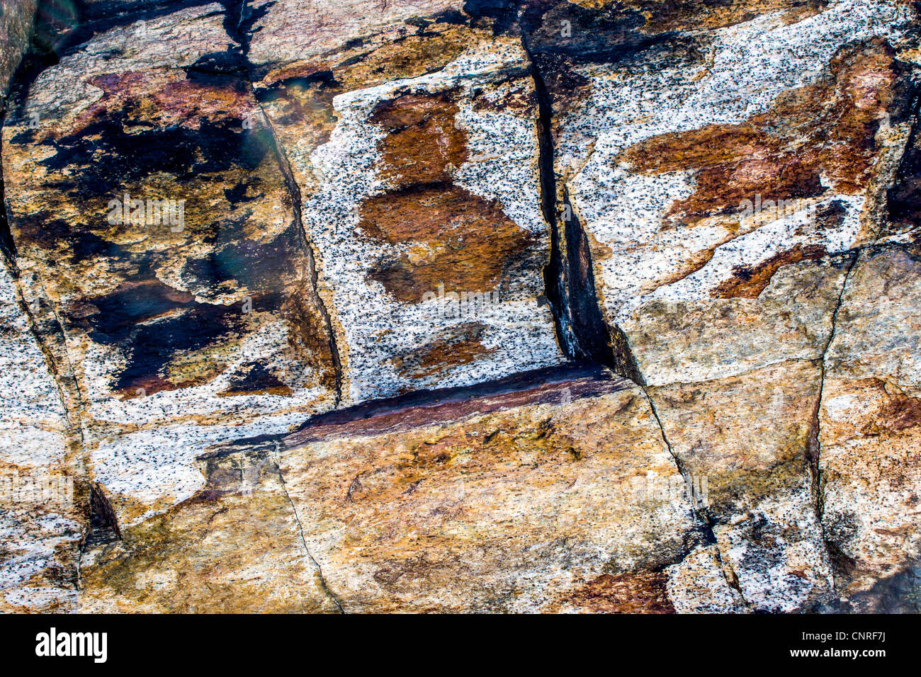 granite rock on the beach of Maine coast near in South Portland Stock ...