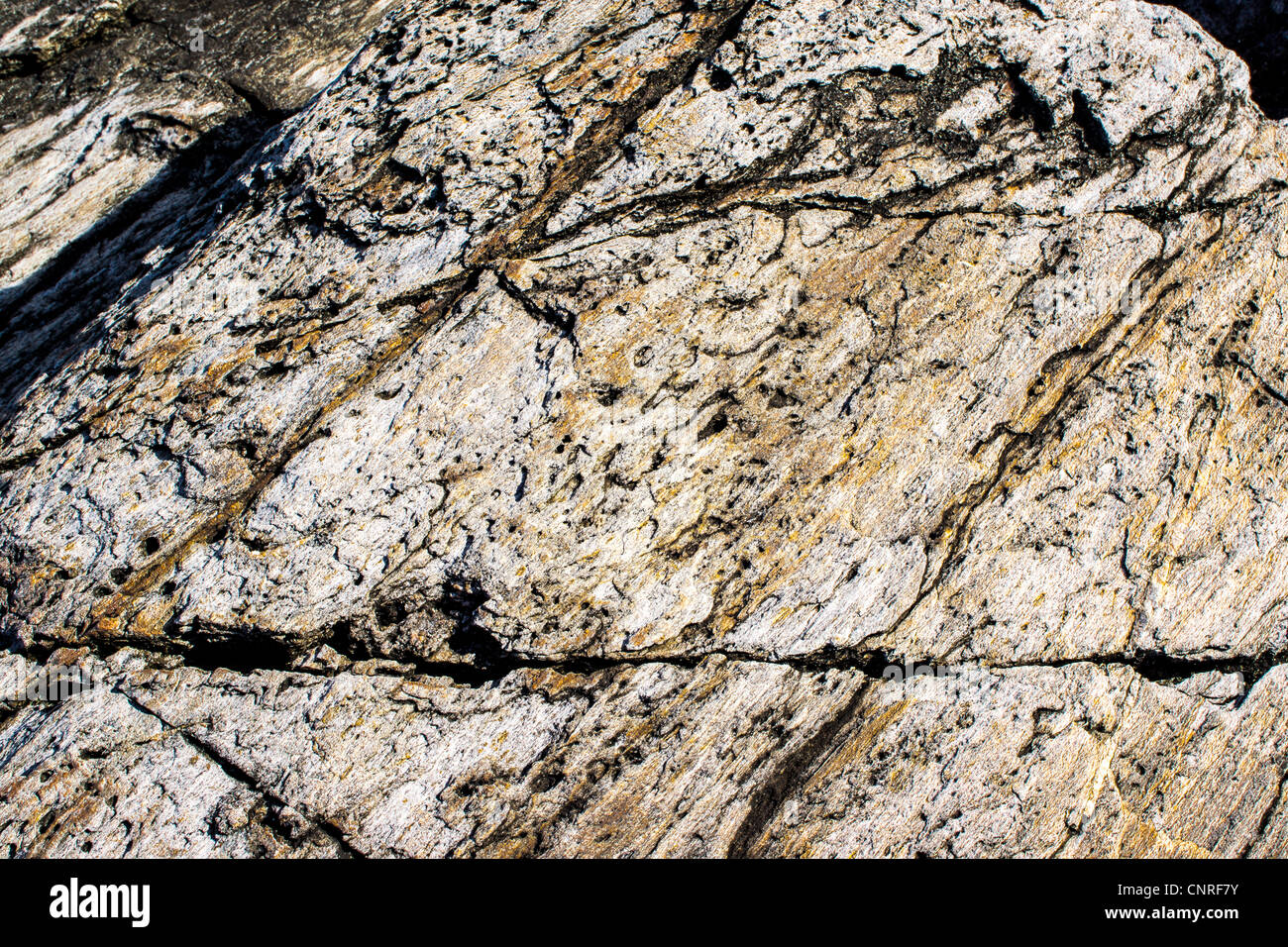 granite rock on the beach of Maine coast near in South Portland Stock ...