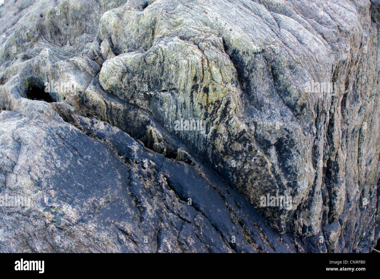 granite rock on the beach of Maine coast near in South Portland Stock ...