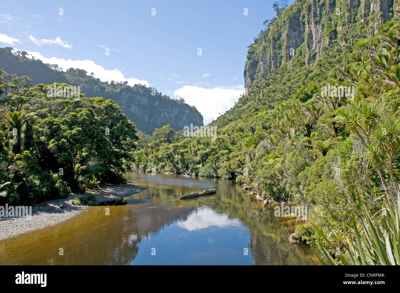 Impressive bush walk scenery alongside the Pororari River in Paparoa ...