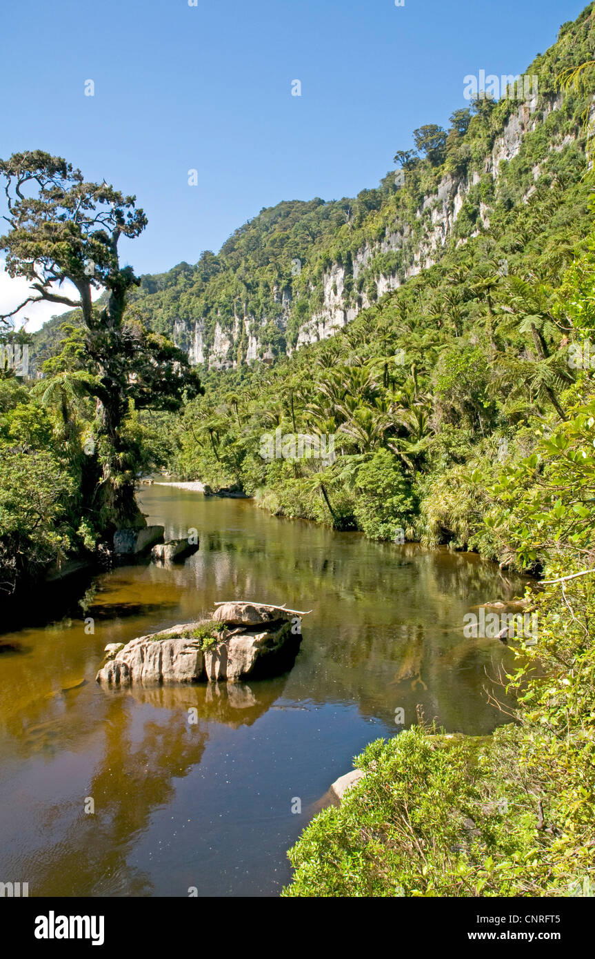 Impressive bush walk scenery alongside the Pororari River in Paparoa ...