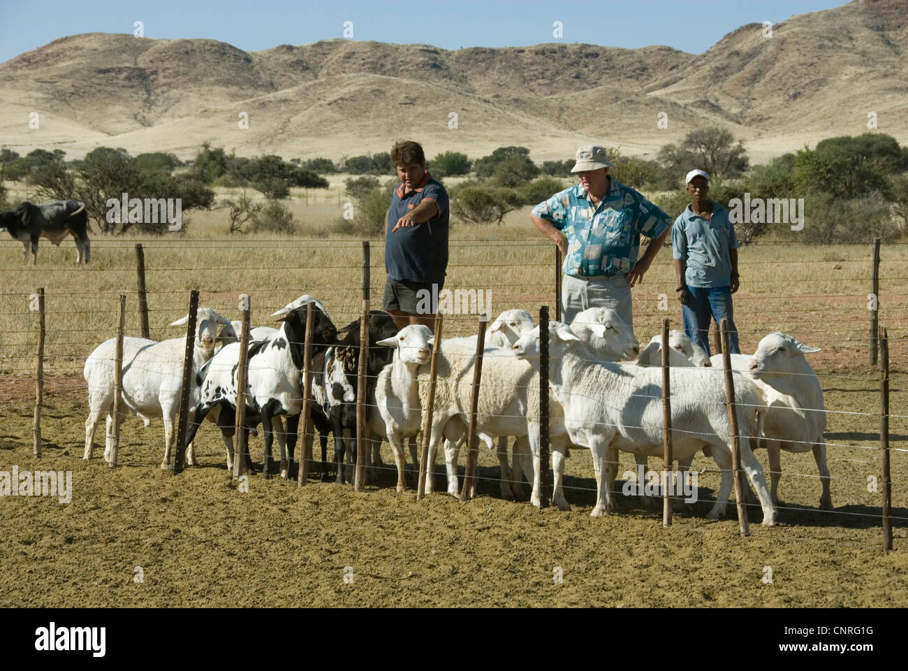 Namibian men hi-res stock photography and images - Alamy