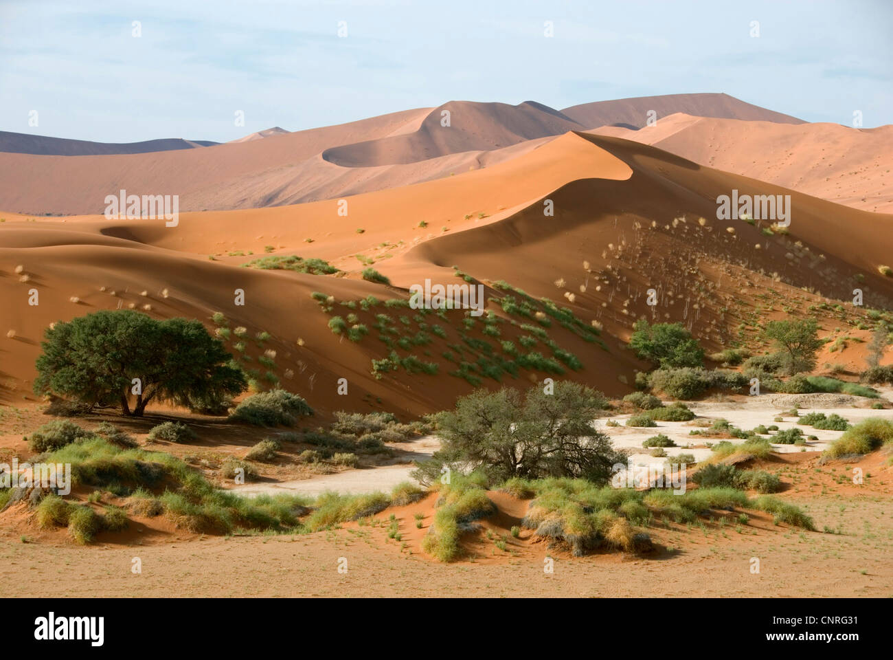 Transverse Sand Dunes