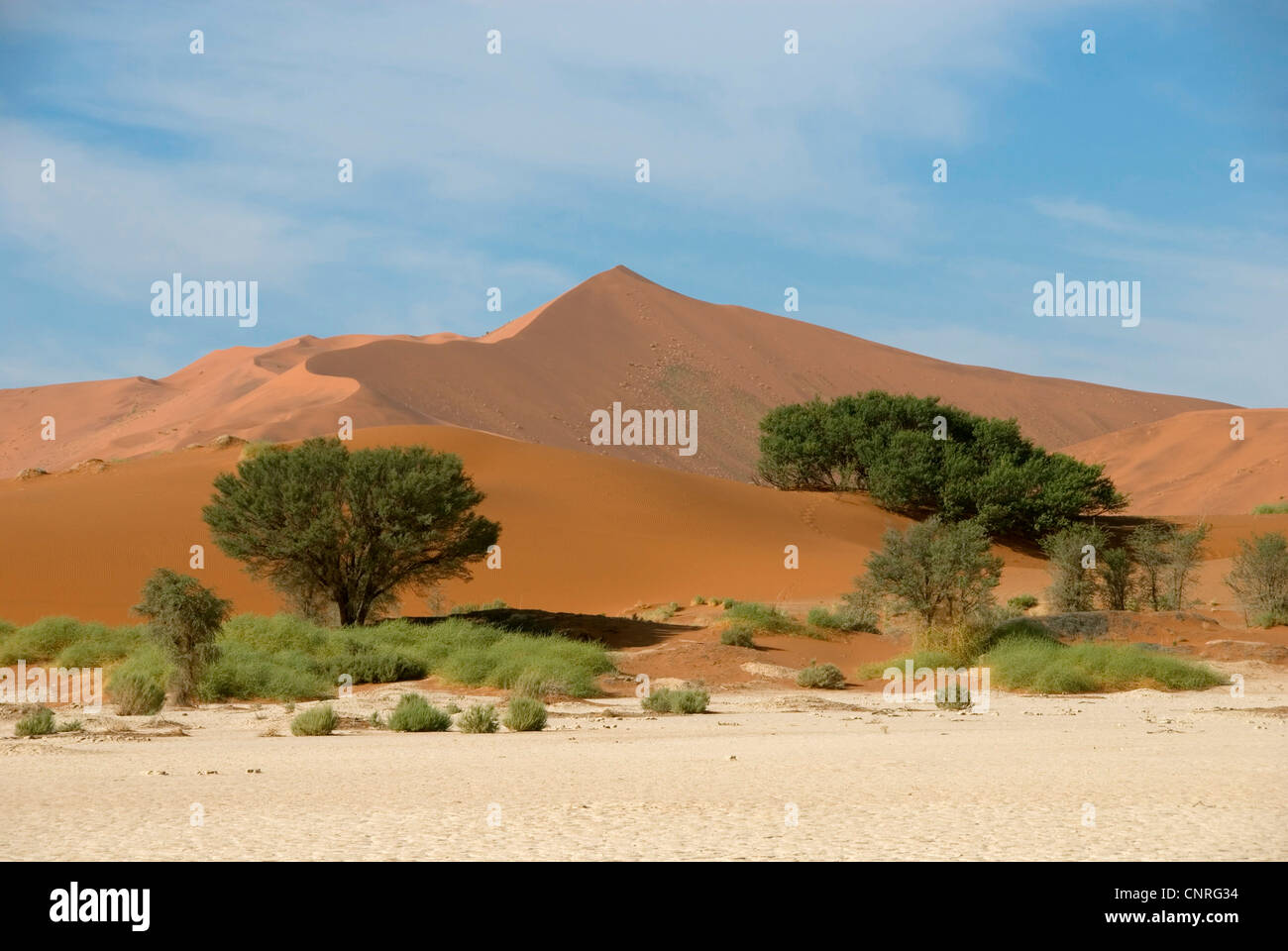 Saline zones hi-res stock photography and images - Alamy
