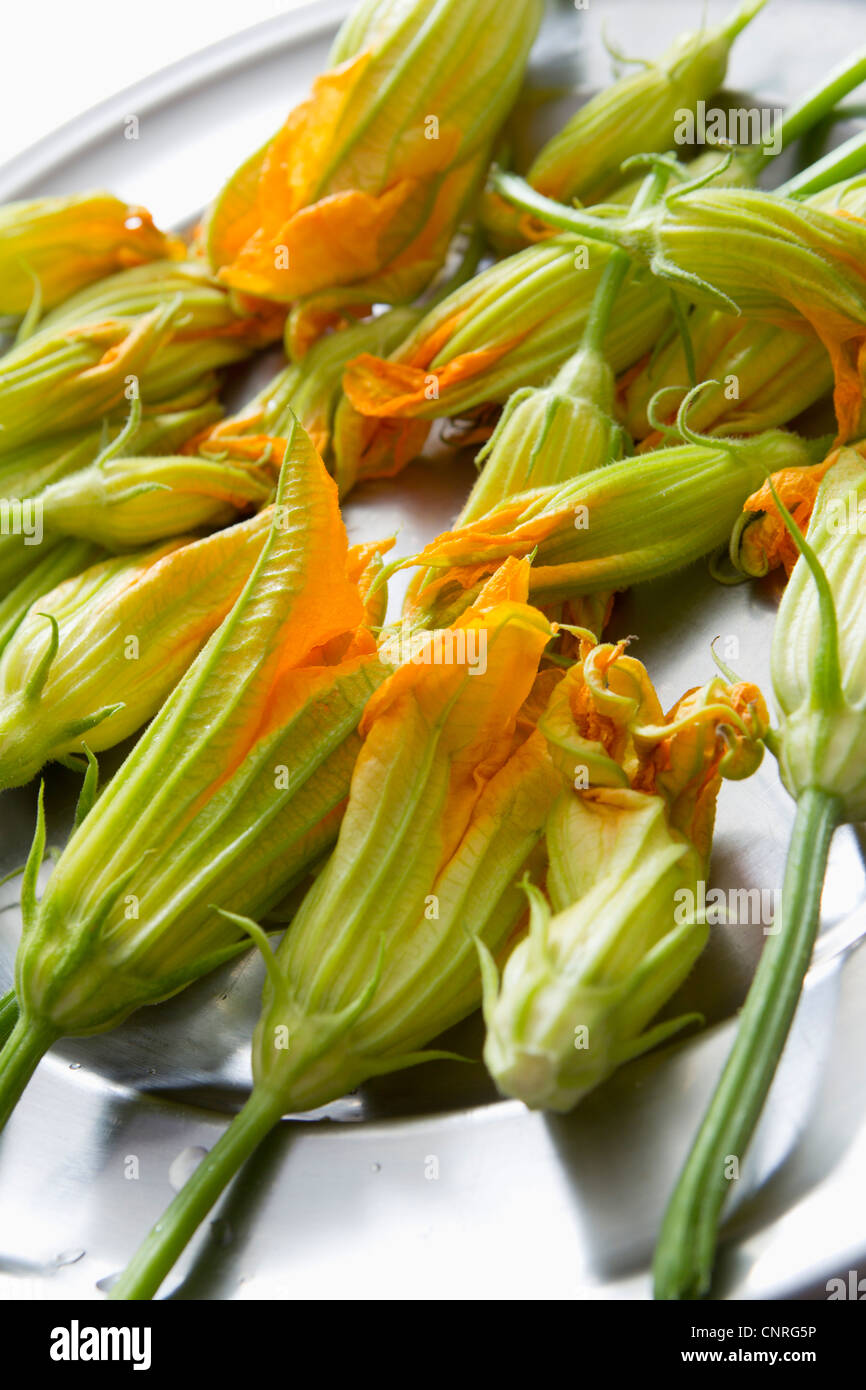Zucchini blossoms hi-res stock photography and images - Alamy