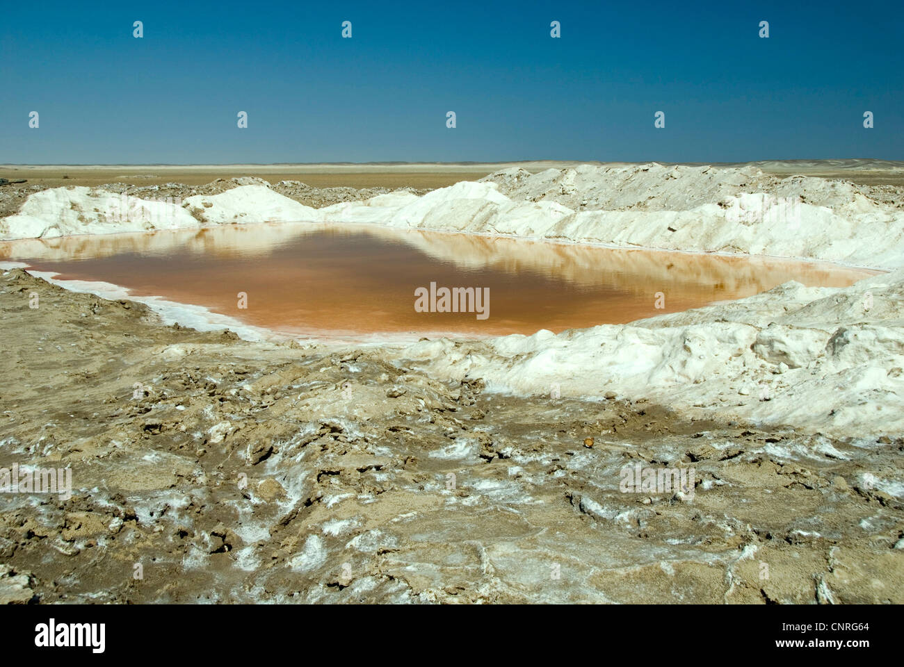 Marsh lands landscape near hi-res stock photography and images - Alamy