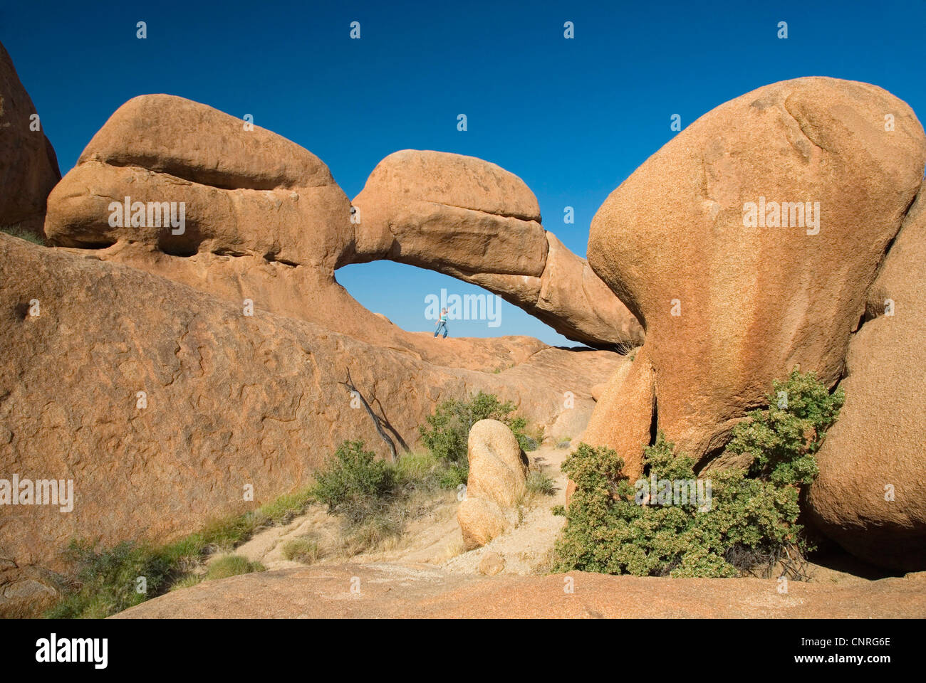 rock arch at the Spitzkoppe, Namibia, Damaraland Stock Photo - Alamy