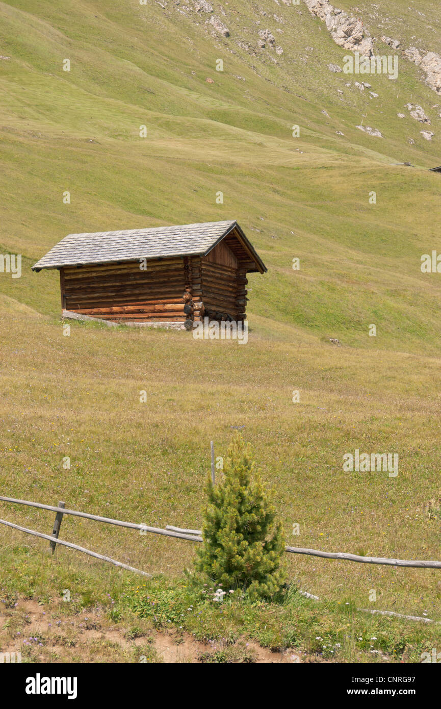 Alpine field hi-res stock photography and images - Alamy