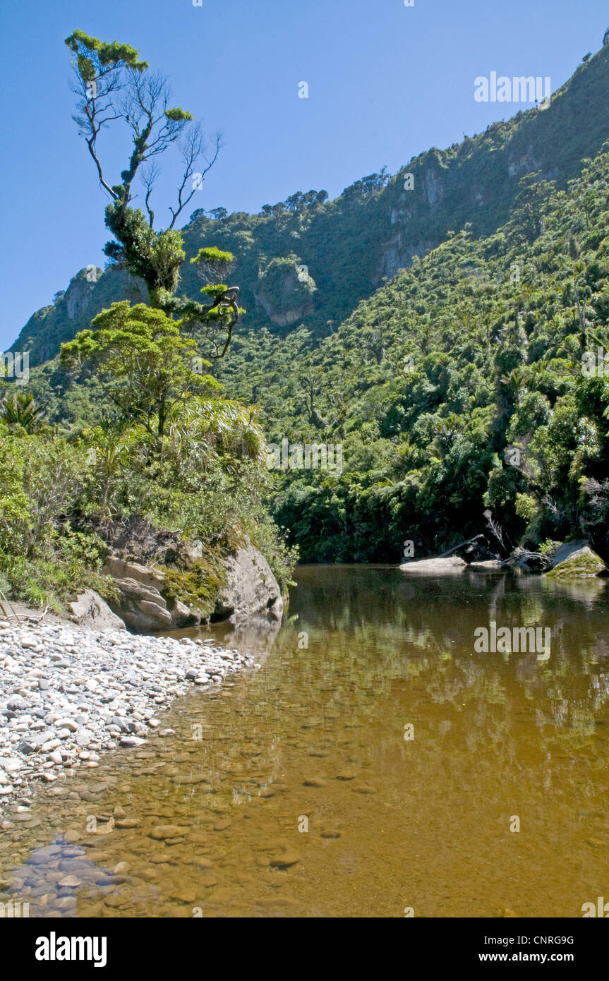 Impressive bush walk scenery alongside the Pororari River in Paparoa ...