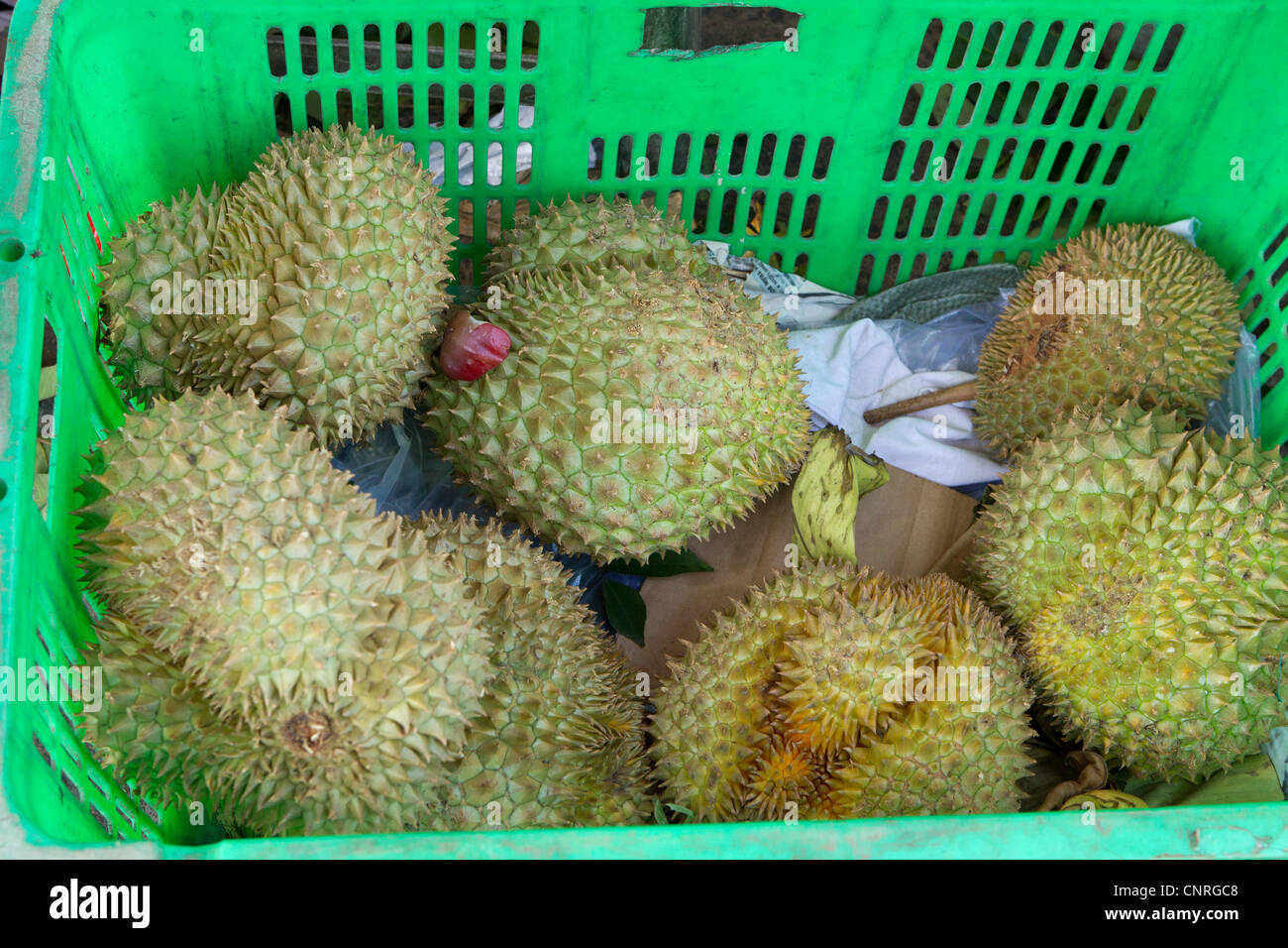 Small Durian High Resolution Stock Photography and Images - Alamy