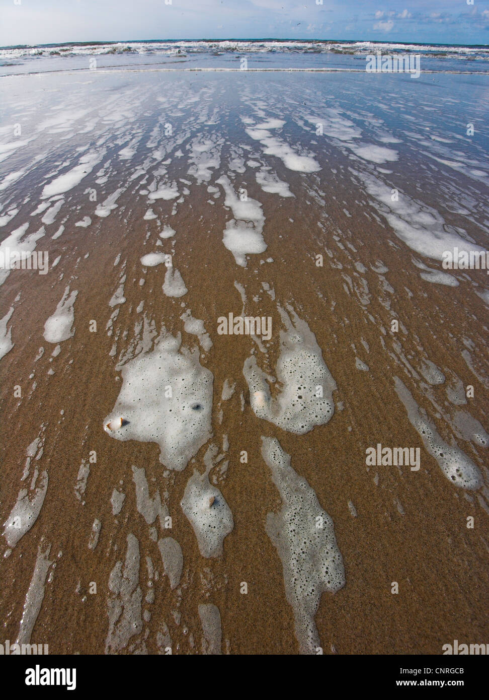 tideland of the North Sea at low tide, Netherlands Stock Photo - Alamy