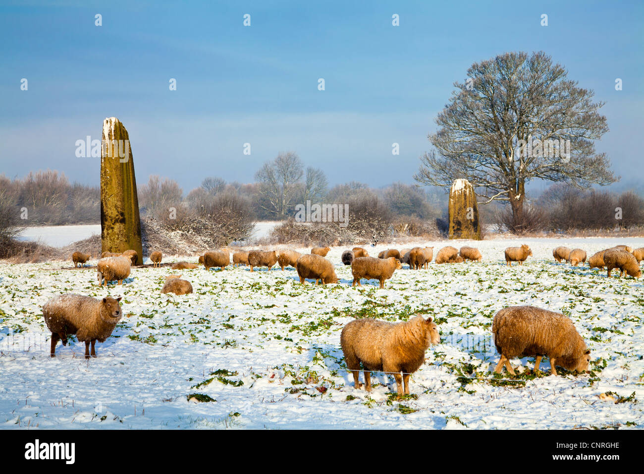 The Devil's Arrows standing stones at Boroughbridge, North Yorkshire ...