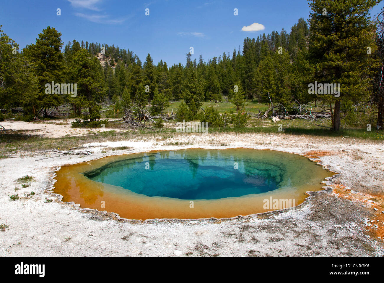Hot spring creek hi-res stock photography and images - Alamy