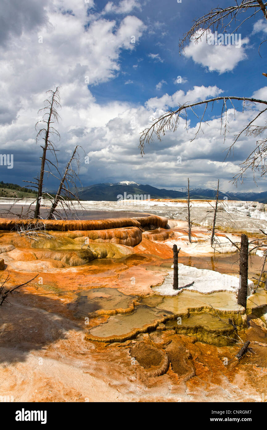 Thermal features hi-res stock photography and images - Alamy