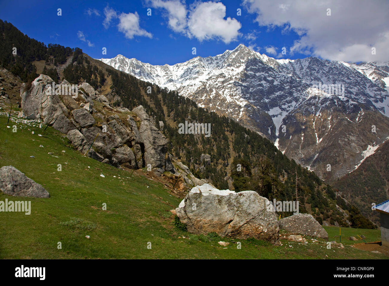 Himalayan Ecosystems High Resolution Stock Photography and Images - Alamy