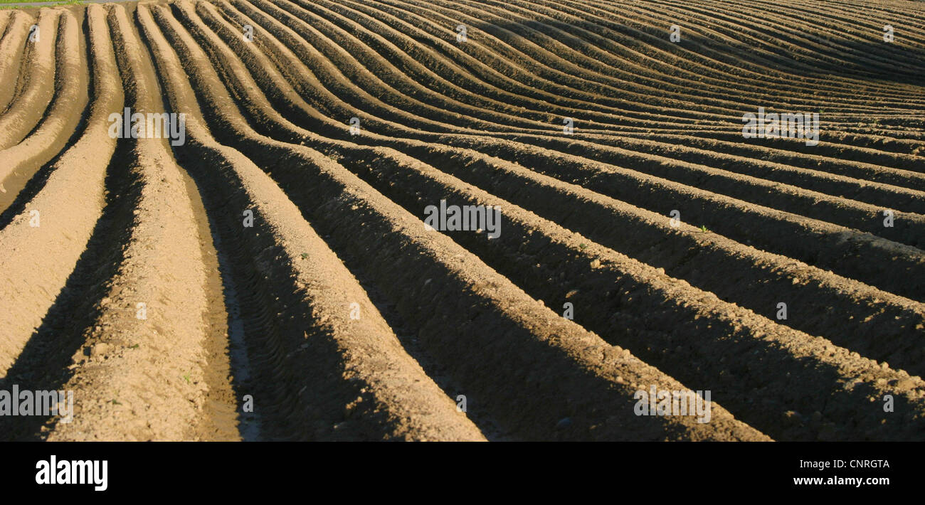 Field acre hi-res stock photography and images - Alamy