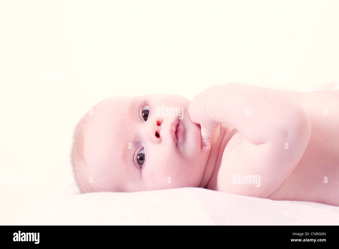 Baby lying on back, portrait Stock Photo - Alamy