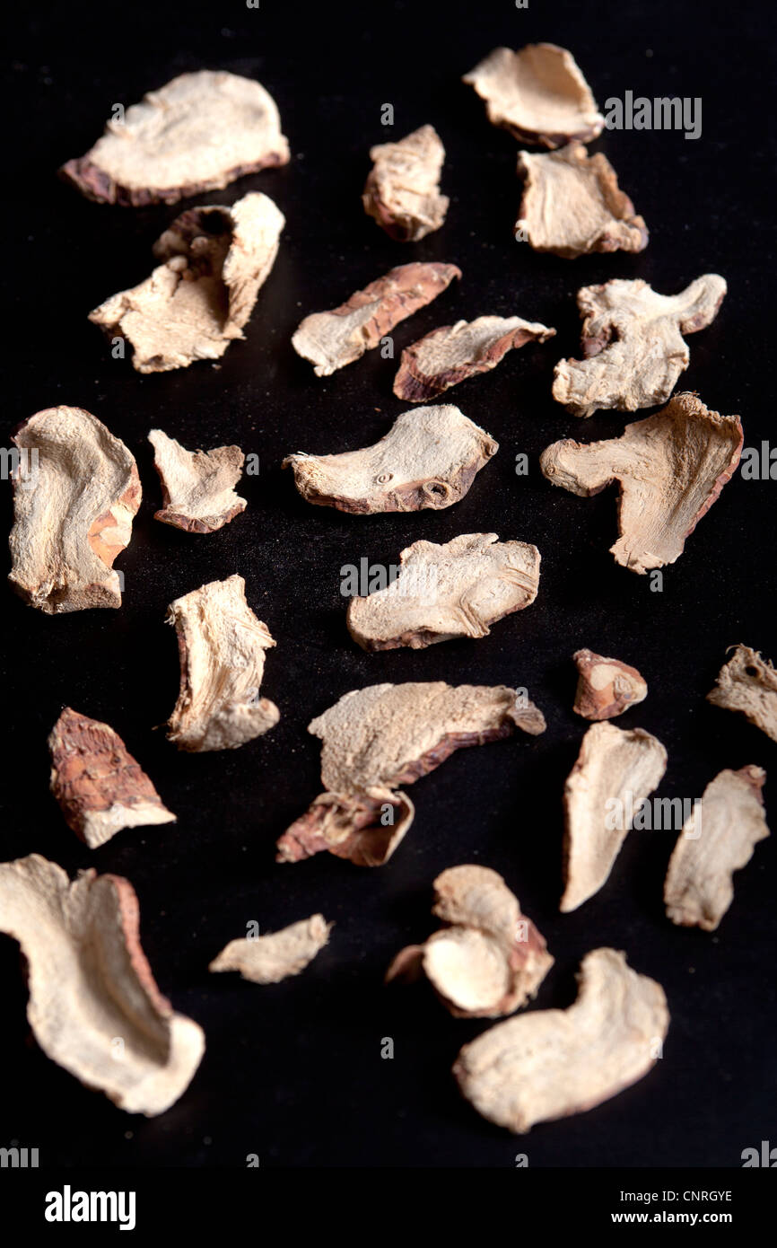 Galangal dried hi-res stock photography and images - Alamy