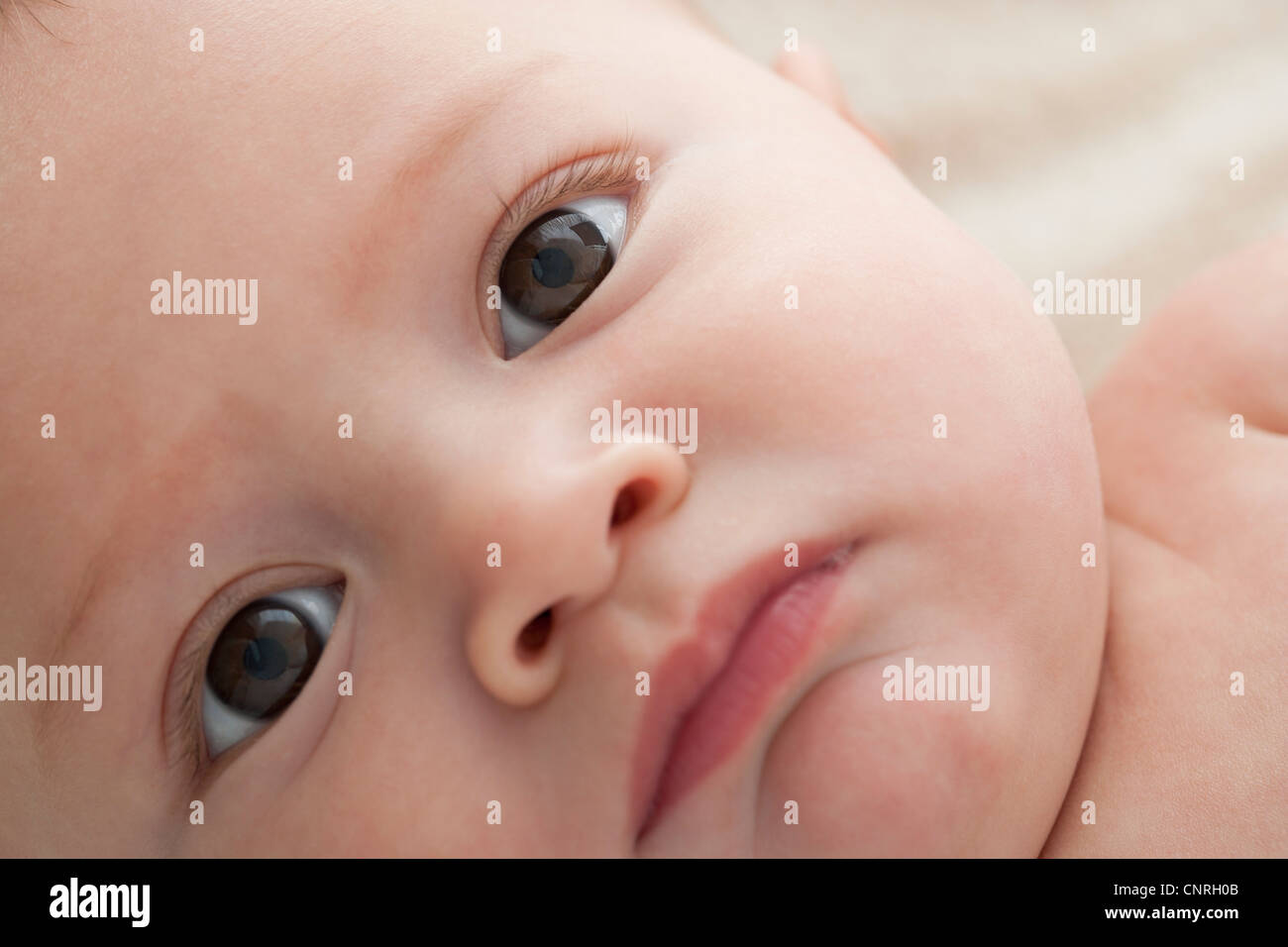 Baby boy, close-up portrait Stock Photo - Alamy