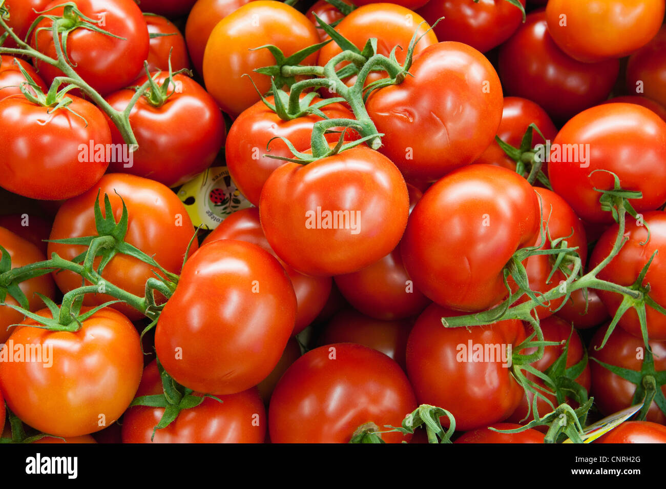 From vine ripened hi-res stock photography and images - Alamy