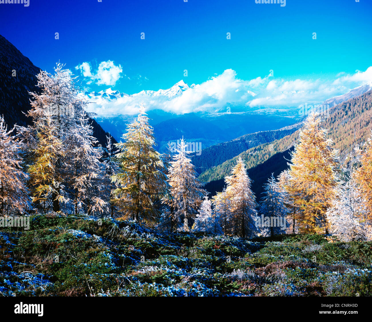 Simplon Pass, Switzerland, Bernese Oberland, Simplon-Pass Stock Photo ...