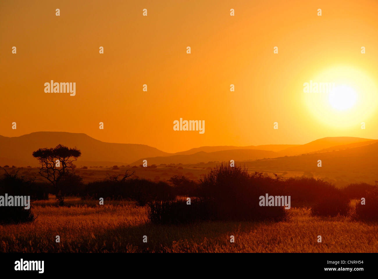 Savannah sunsets hi-res stock photography and images - Alamy