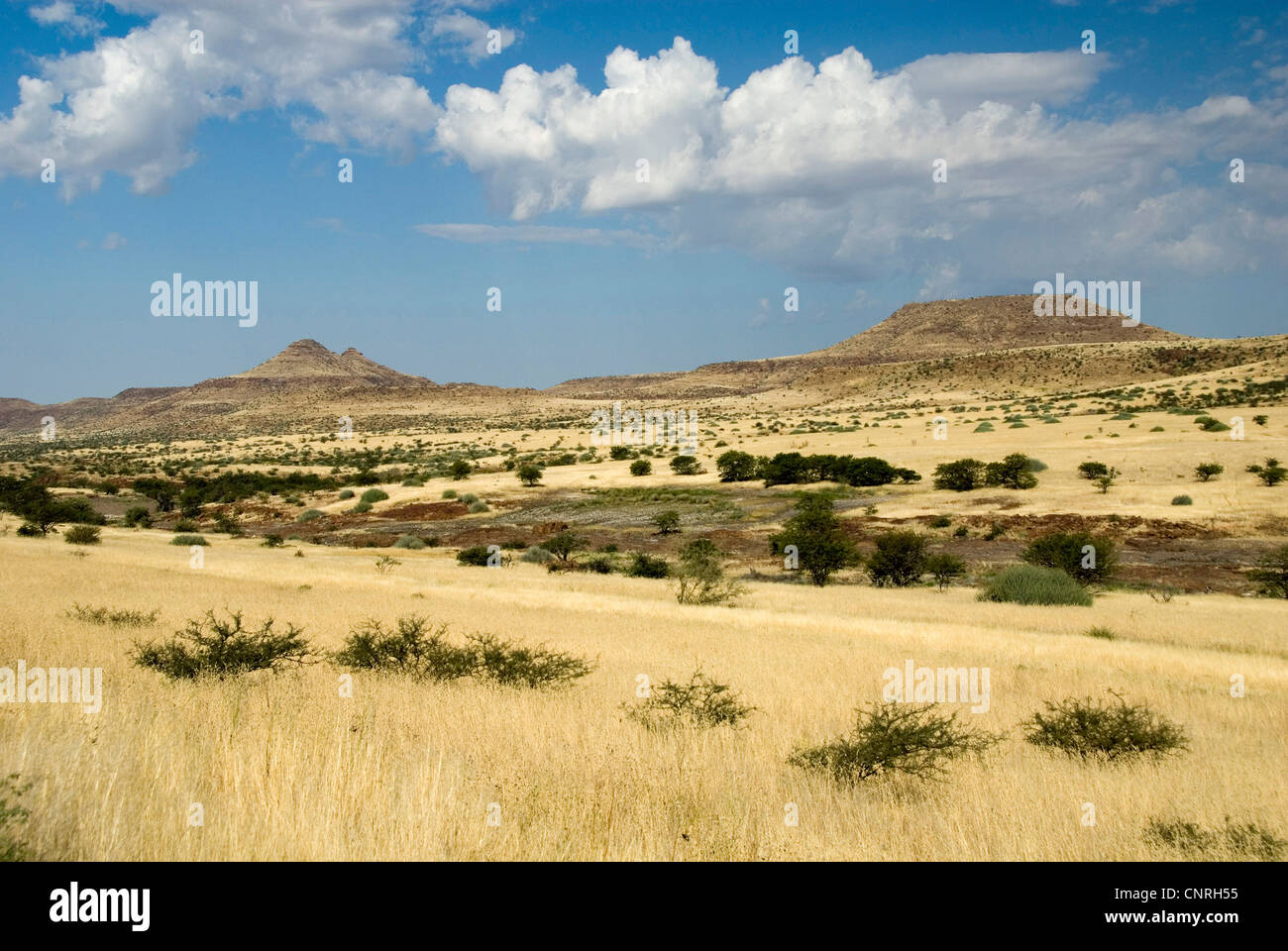 savannah with and mountains between Palmwag and Sesfontein, Namibia ...
