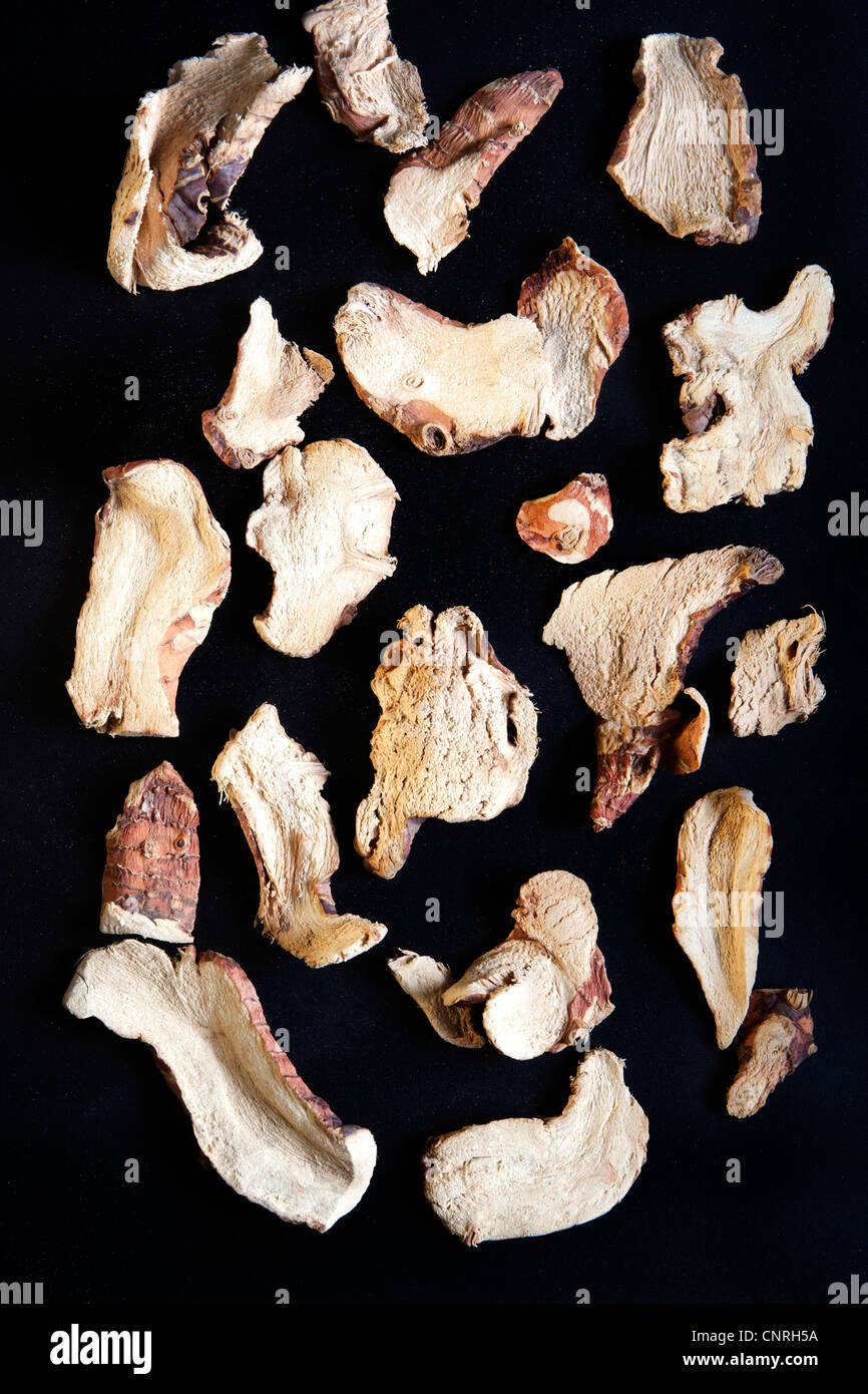 Dry galangal hi-res stock photography and images - Alamy