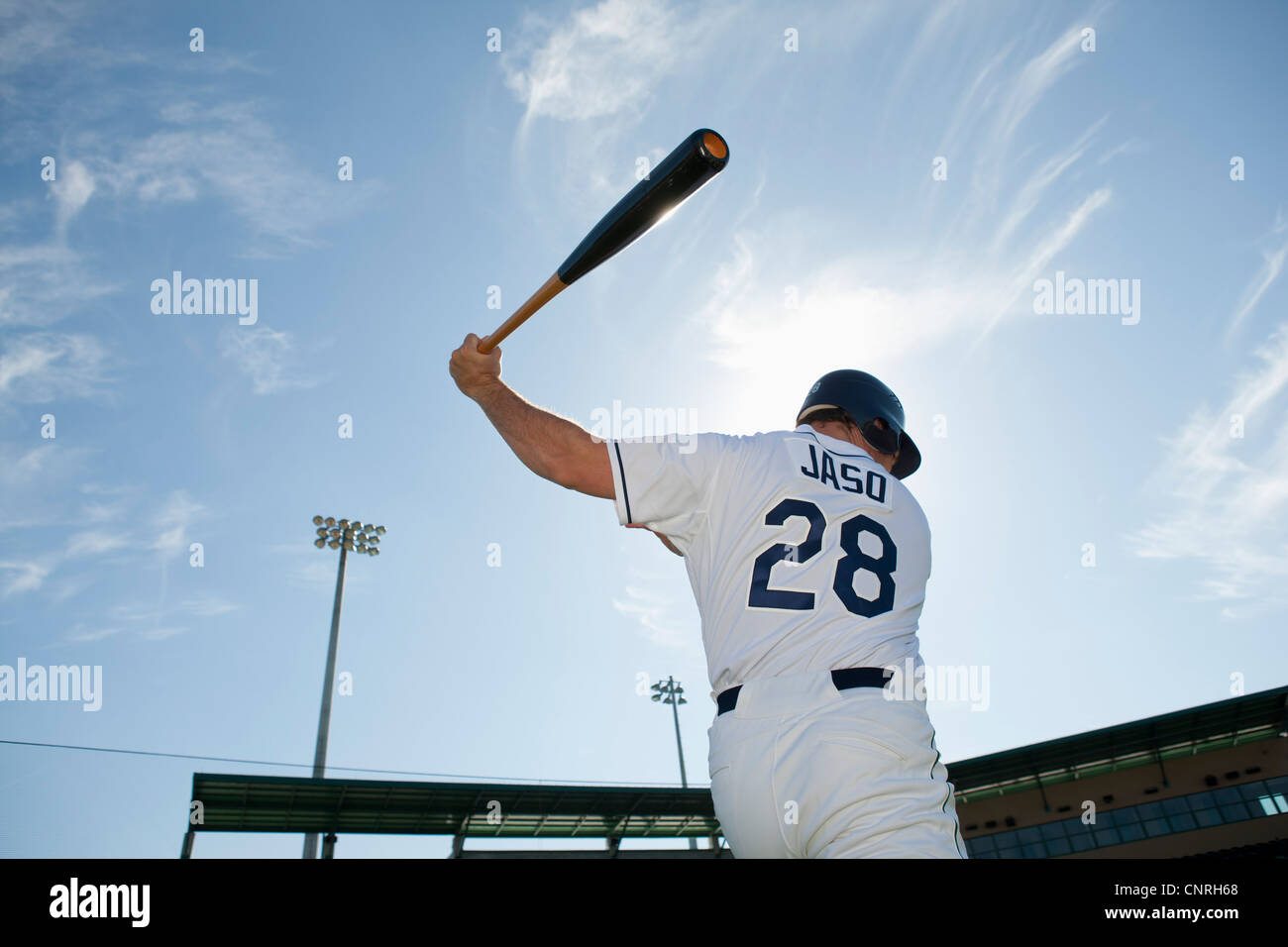 Baseball Batter Back