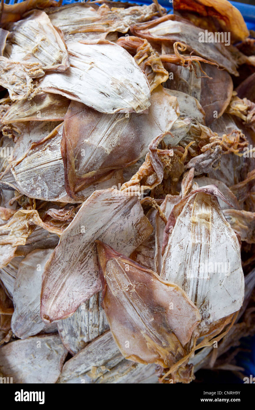 Squid Images High Resolution Stock Photography and Images - Alamy