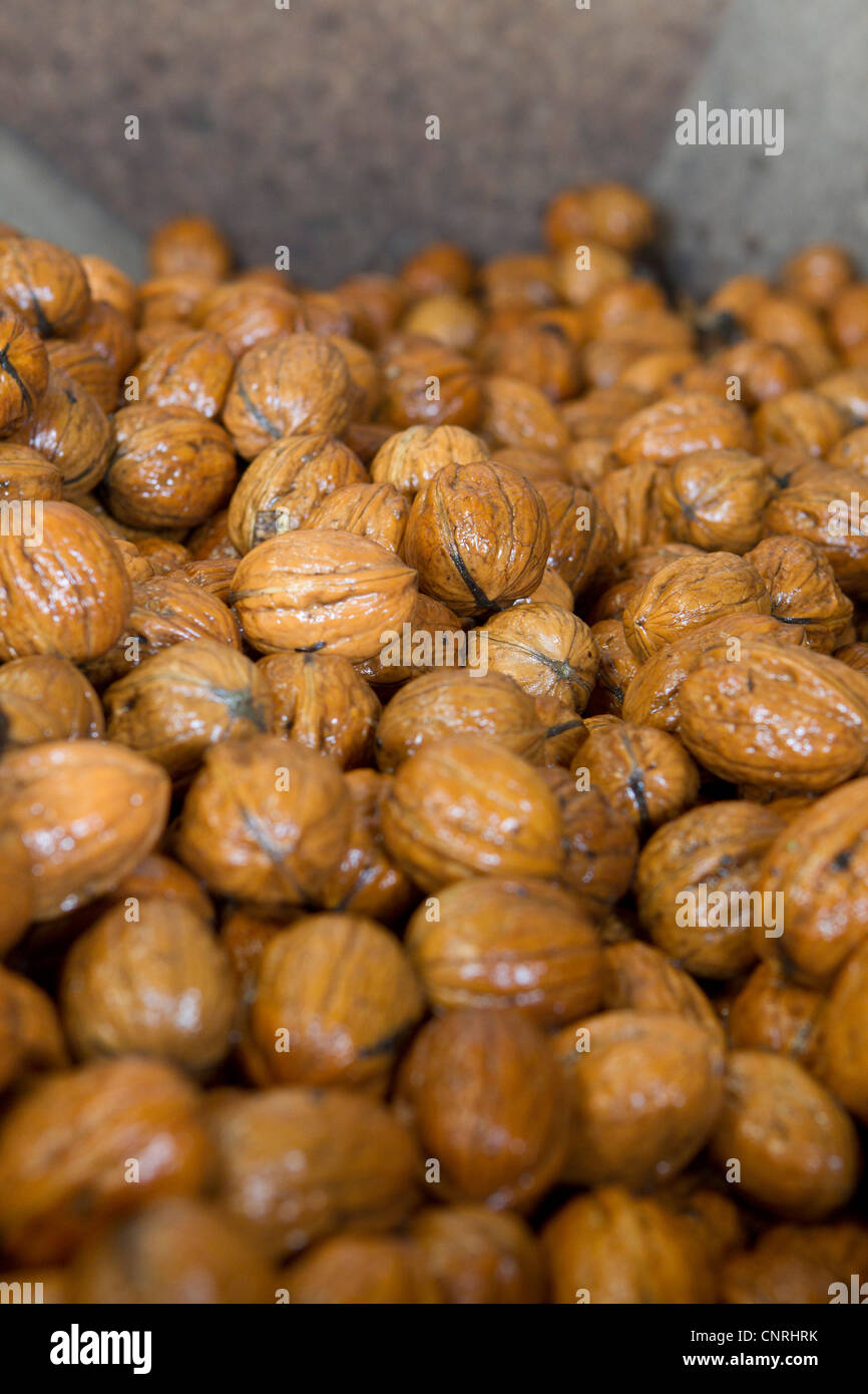 Wet Walnuts High Resolution Stock Photography and Images - Alamy