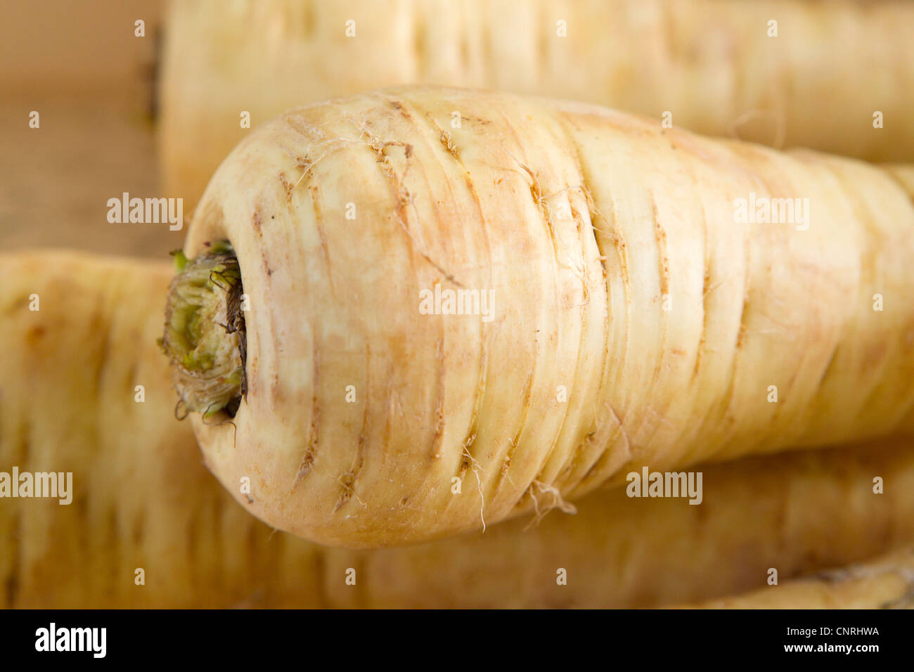 Parsnip hi-res stock photography and images - Alamy