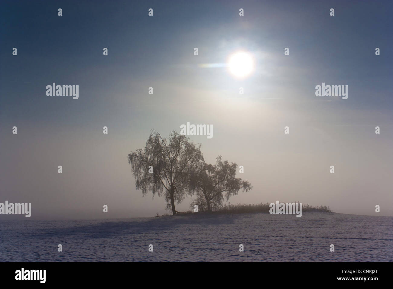 Rising sun photograph hi-res stock photography and images - Alamy