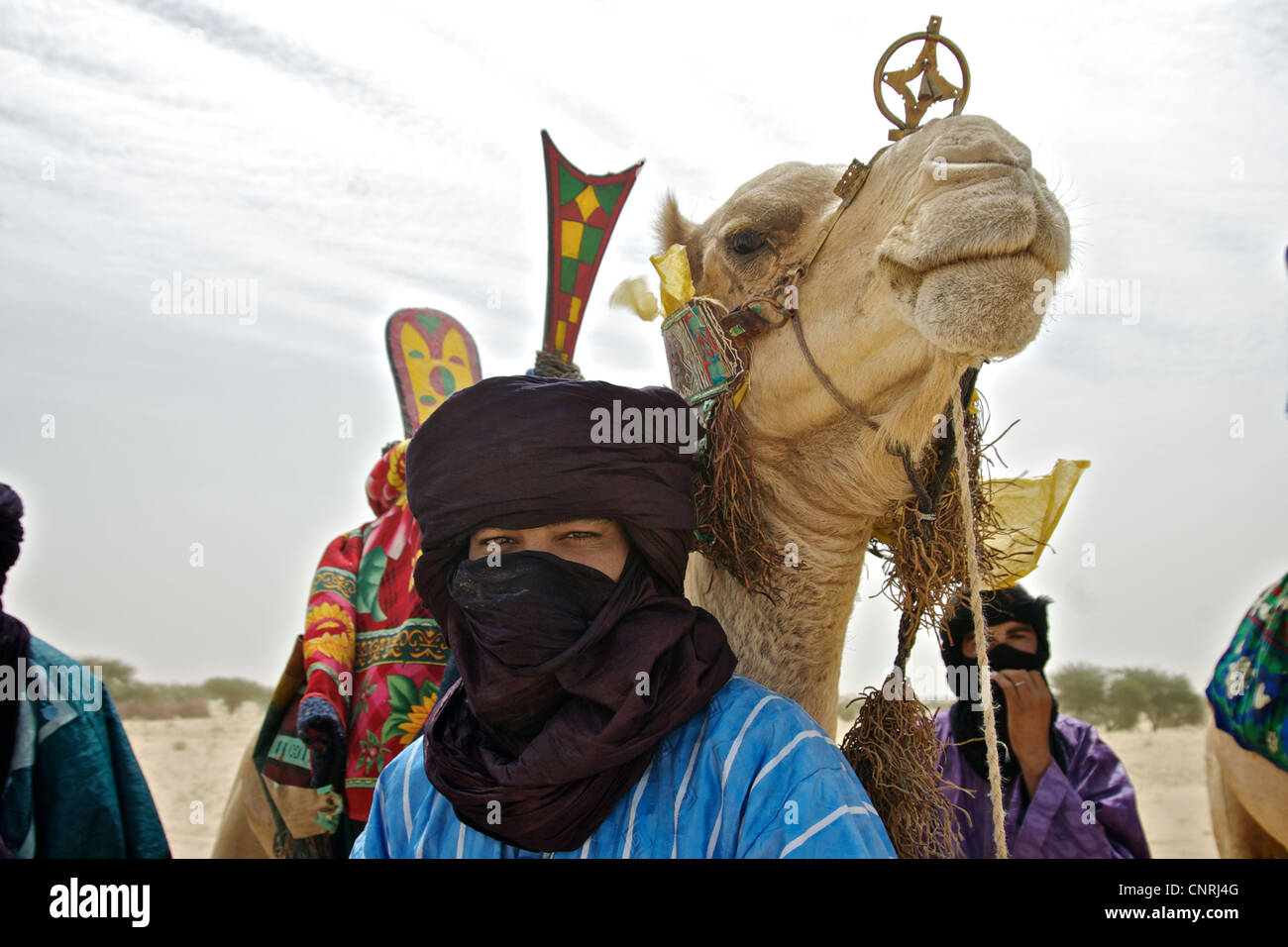 Tuareg men riding camels in hi-res stock photography and images - Alamy
