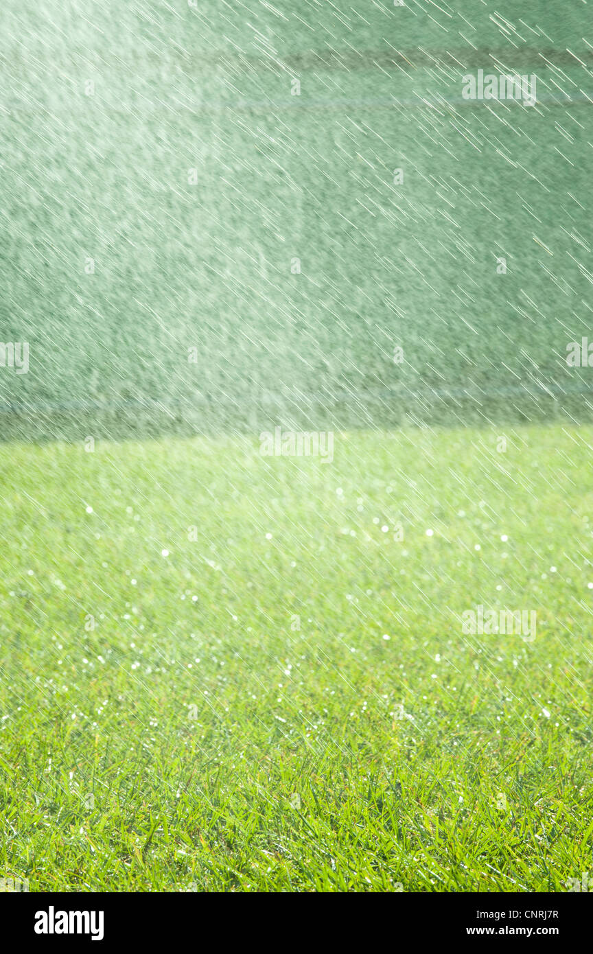 Rain Falling On Grass