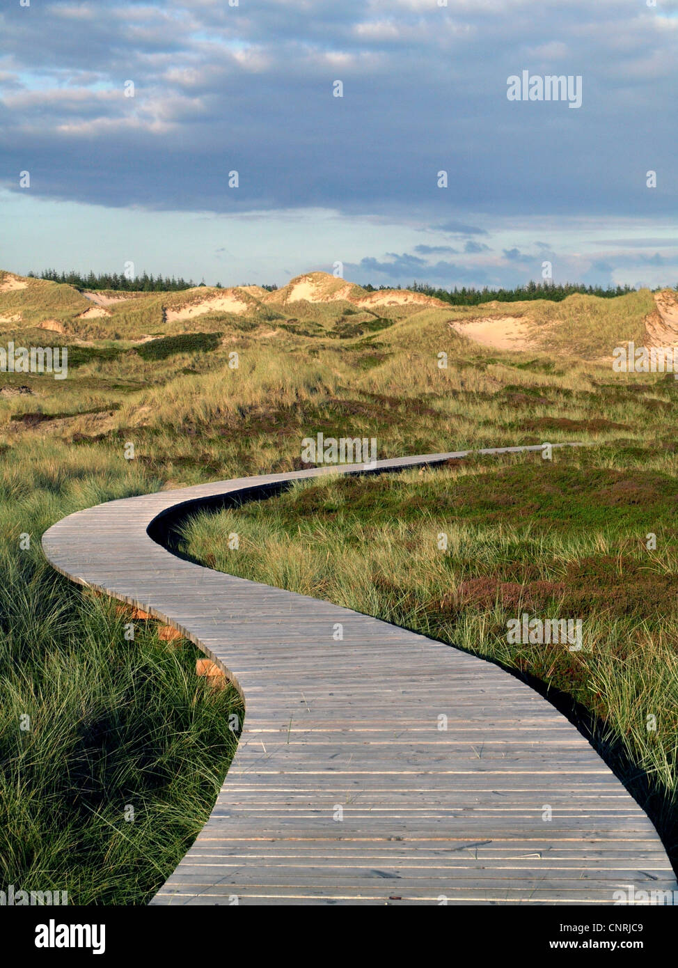 Amrum germany boardwalk amrum hi-res stock photography and images - Alamy
