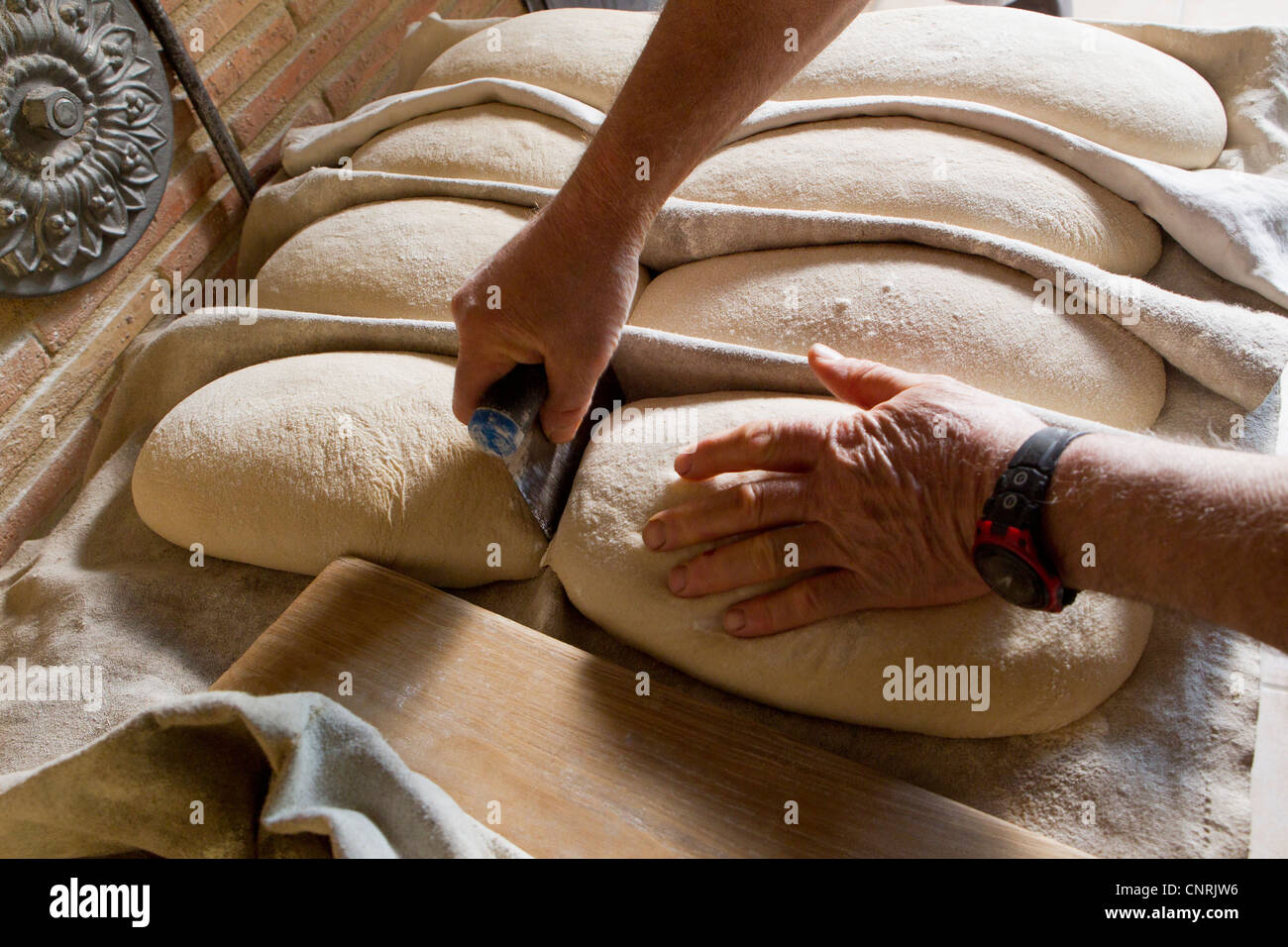 Preparing fresh bread dough to be baked Stock Photo - Alamy
