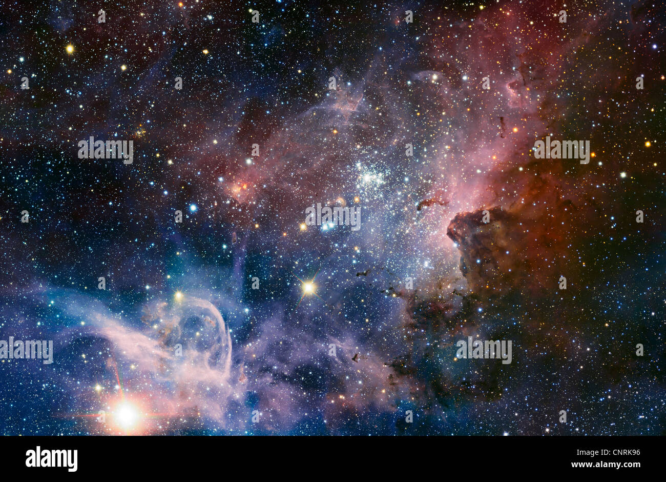 Carina complex hi-res stock photography and images - Alamy