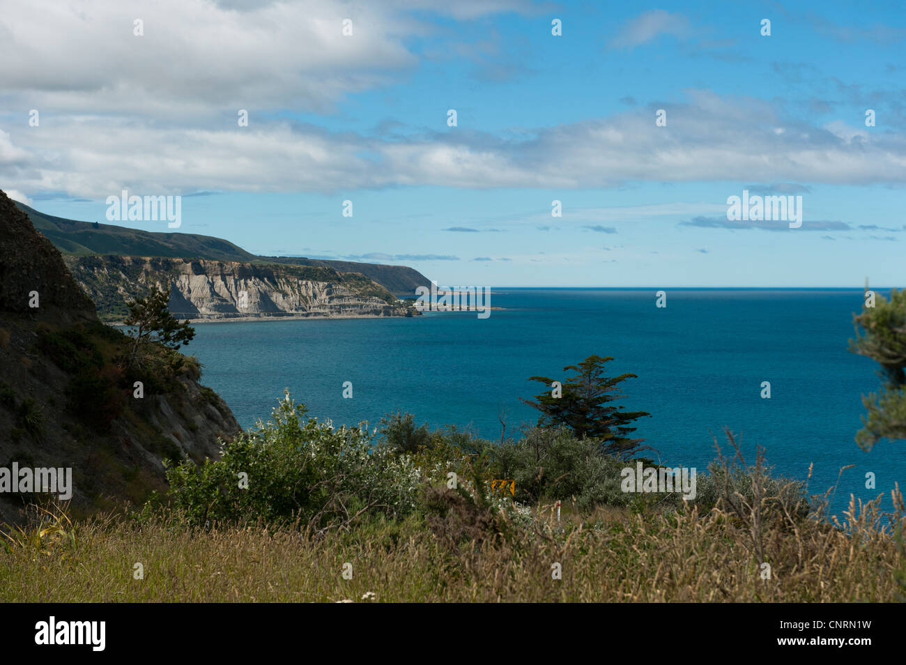 Palliser bay hi-res stock photography and images - Alamy