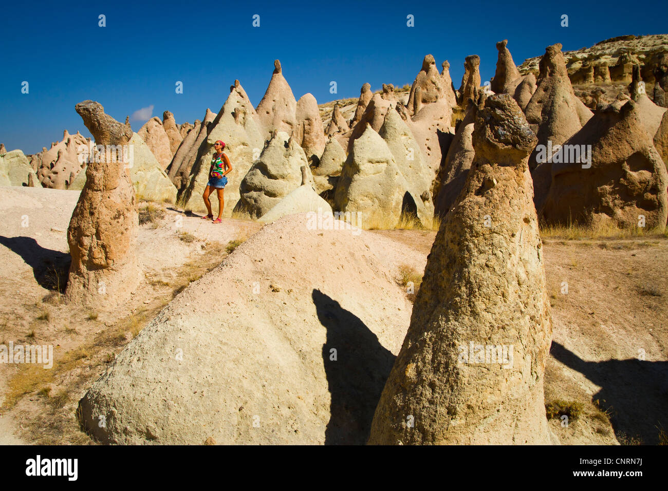 Fairy chimneys in Devrent Valley. Cappadocia, Turkey Stock Photo - Alamy