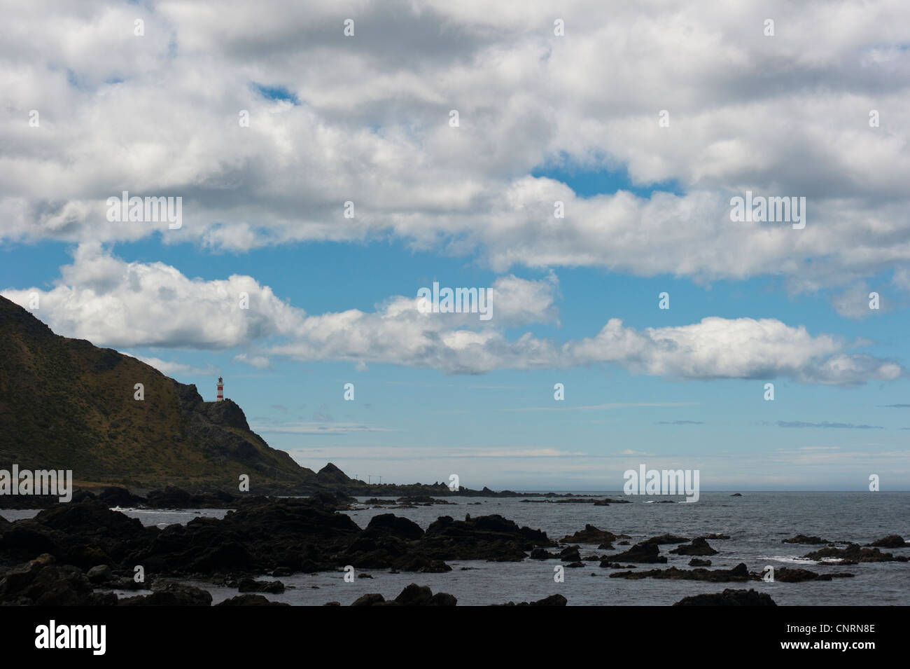 The lighthouse of cape palliser hi-res stock photography and images - Alamy
