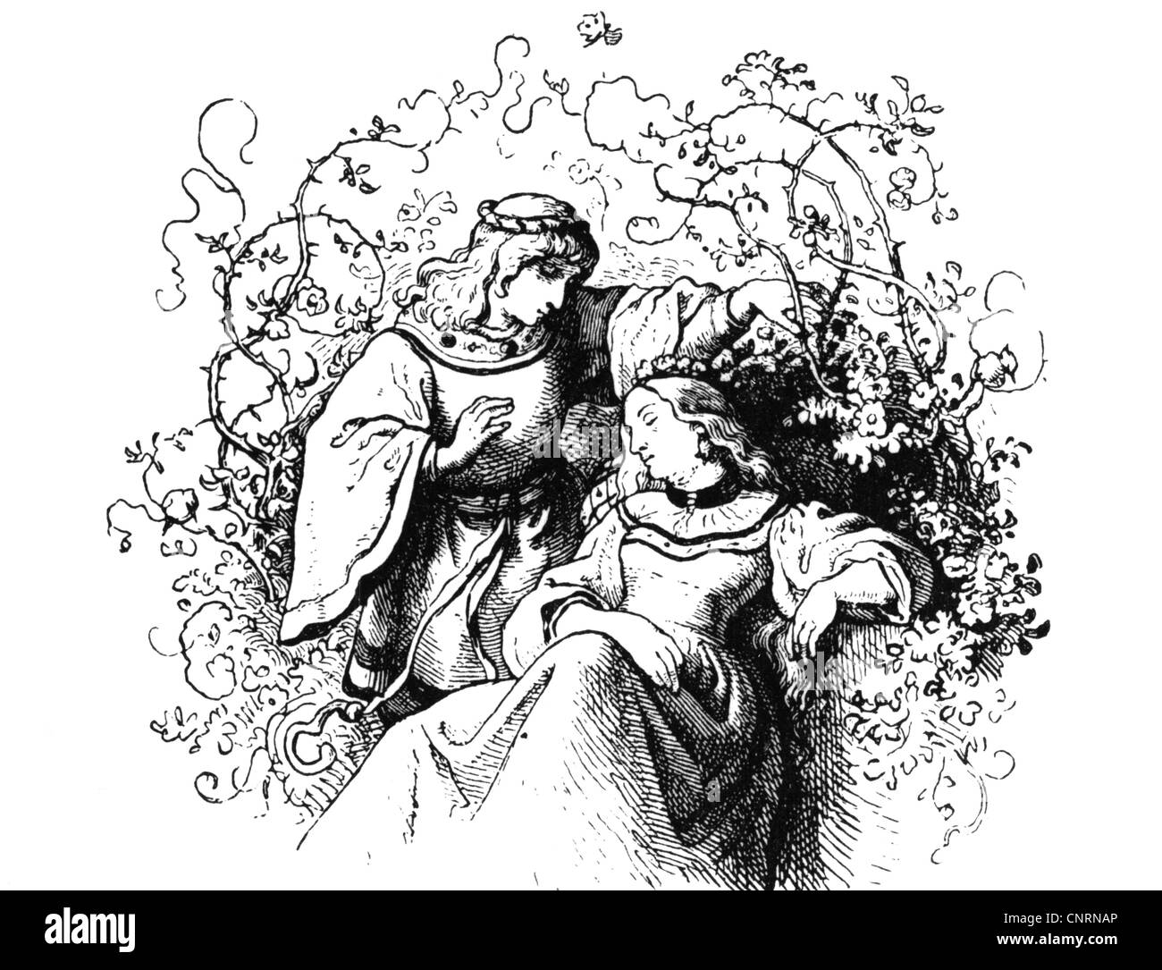 literature, fairy tales, "Sleeping Beauty", Brothers Grimm, woodcut by ...