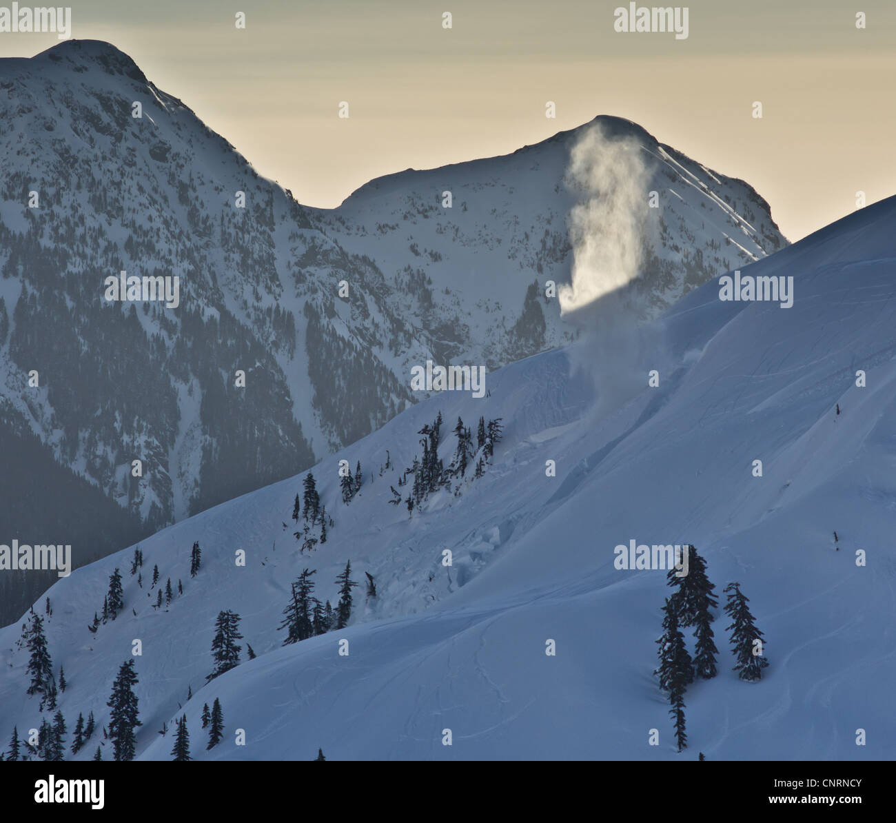 Hazard mountain nature safety slope snowpack trees hi-res stock ...