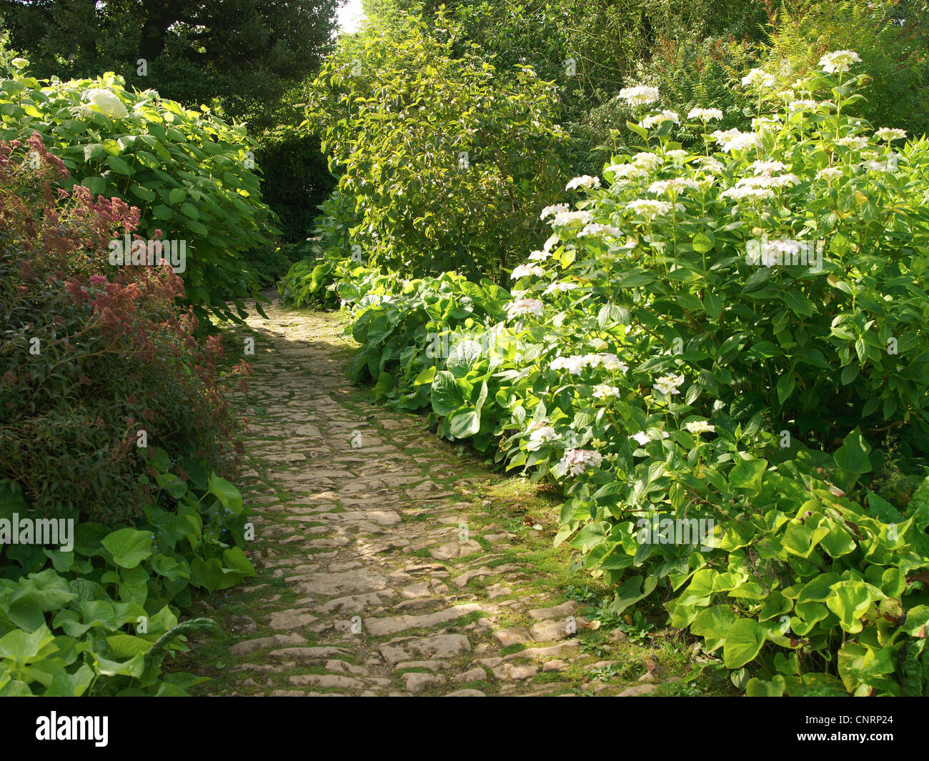 Rustic garden path through mature borders B0087P 0112 Stock Photo - Alamy