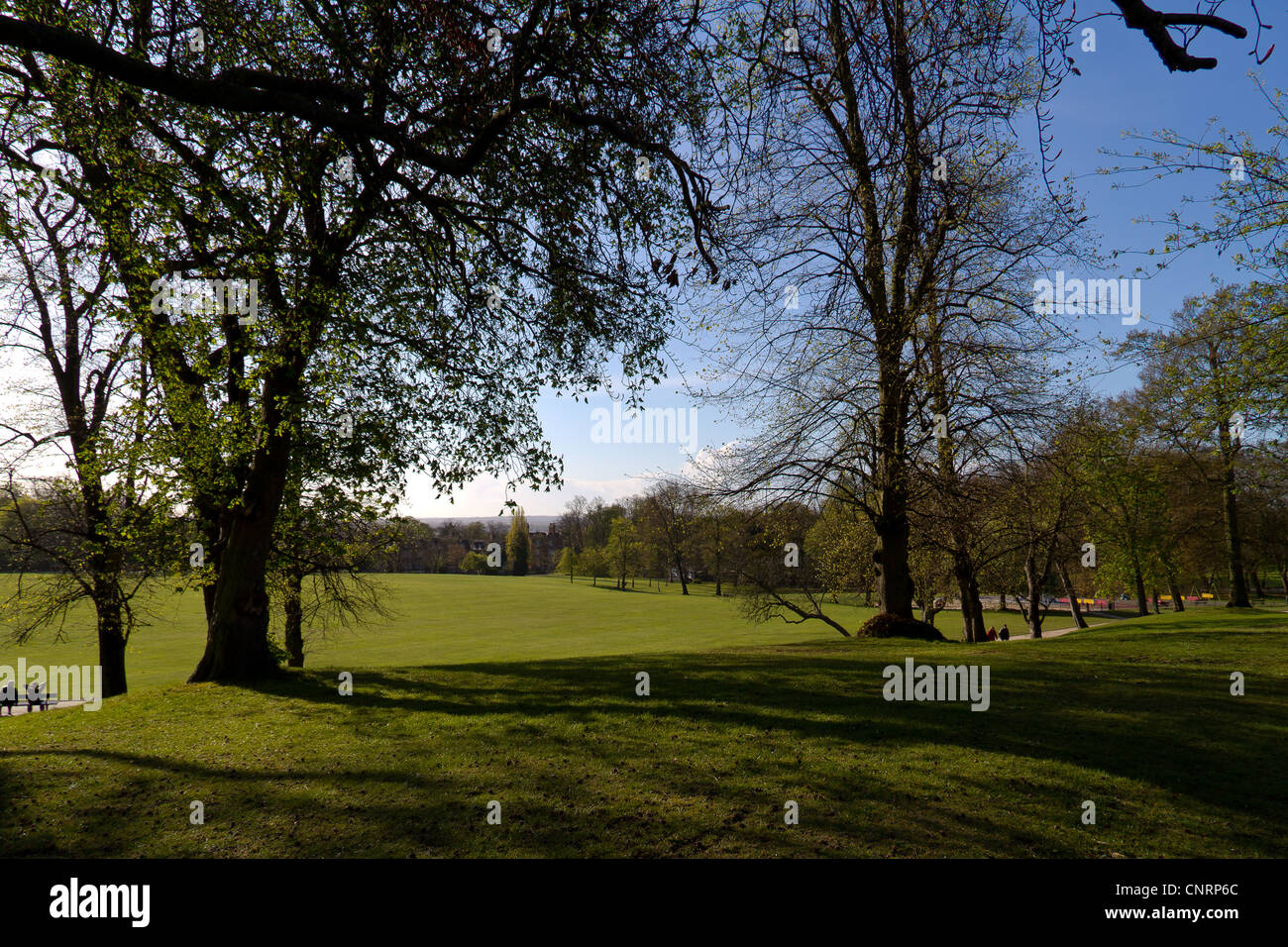 London park hi-res stock photography and images - Alamy