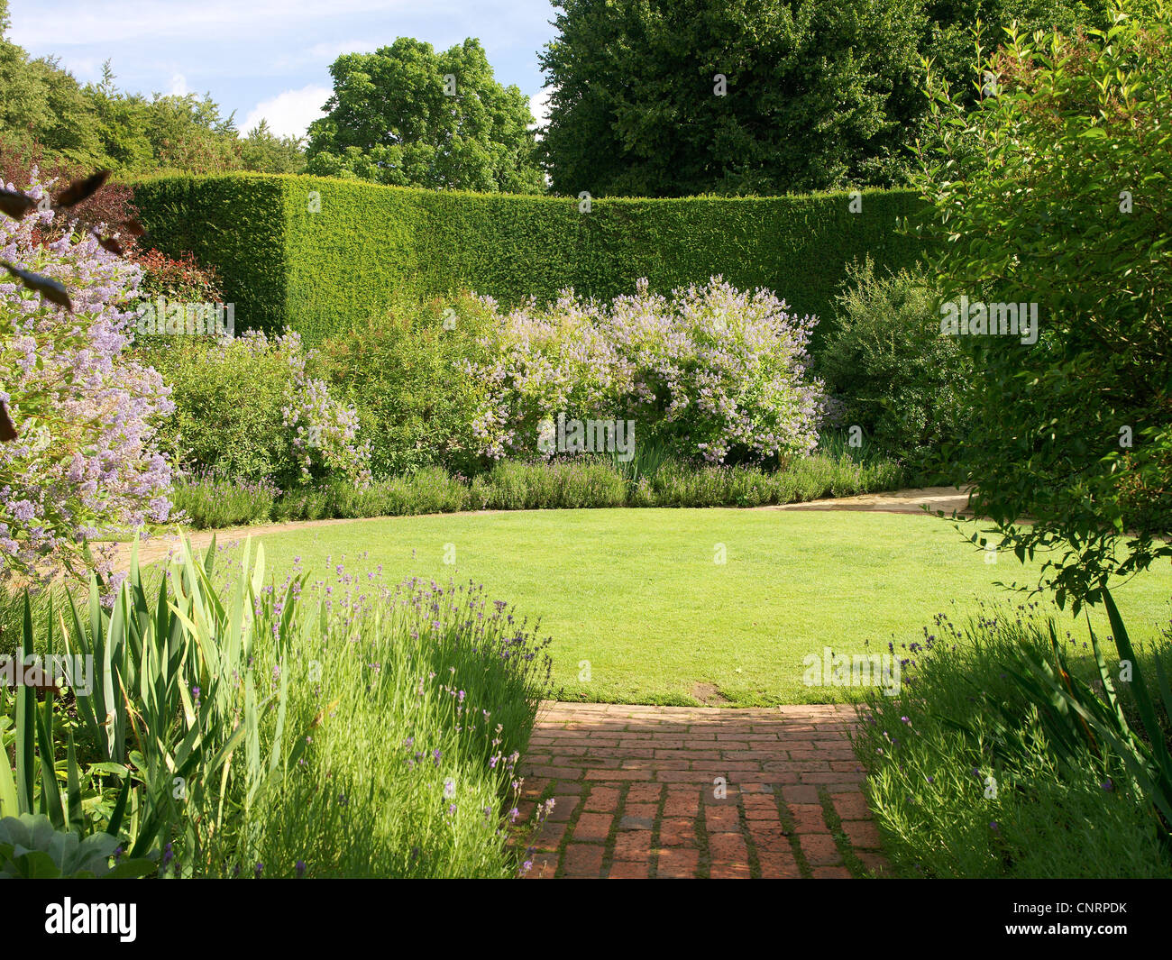 Formal garden with neat high hedge & red brick path. B0087P 0136 Stock ...